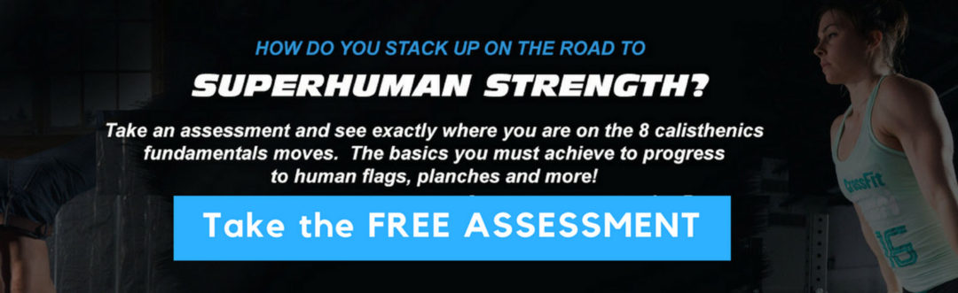 Human flag progression - Bodyweight Training Arena