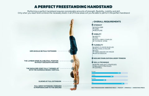 Mastering the Art of Handstand: Progression, Muscles Used, and Benefits ...