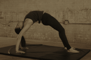 Bridge Progression - Bodyweight Training Arena