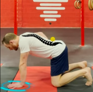 Lower Back Stabilization Exercises To Reduce Lower Back Pain ...