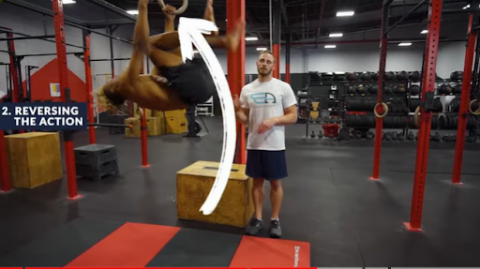 Mastering the Skin the Cat Exercise: A Guide to Technique and Safety ...