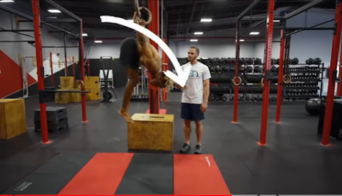 Mastering the Skin the Cat Exercise: A Guide to Technique and Safety ...