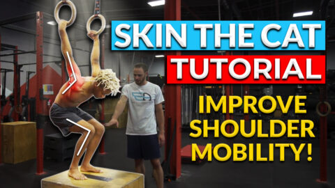 Mastering the Skin the Cat Exercise: A Guide to Technique and Safety ...