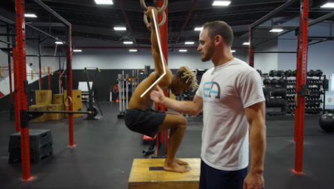 Mastering the Skin the Cat Exercise: A Guide to Technique and Safety ...