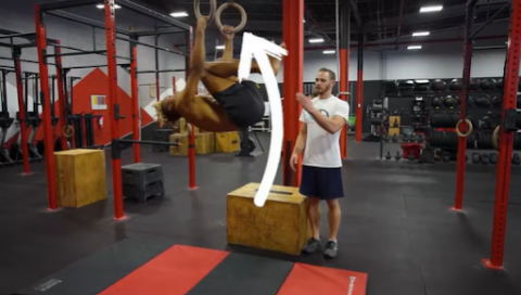 Mastering the Skin the Cat Exercise: A Guide to Technique and Safety ...