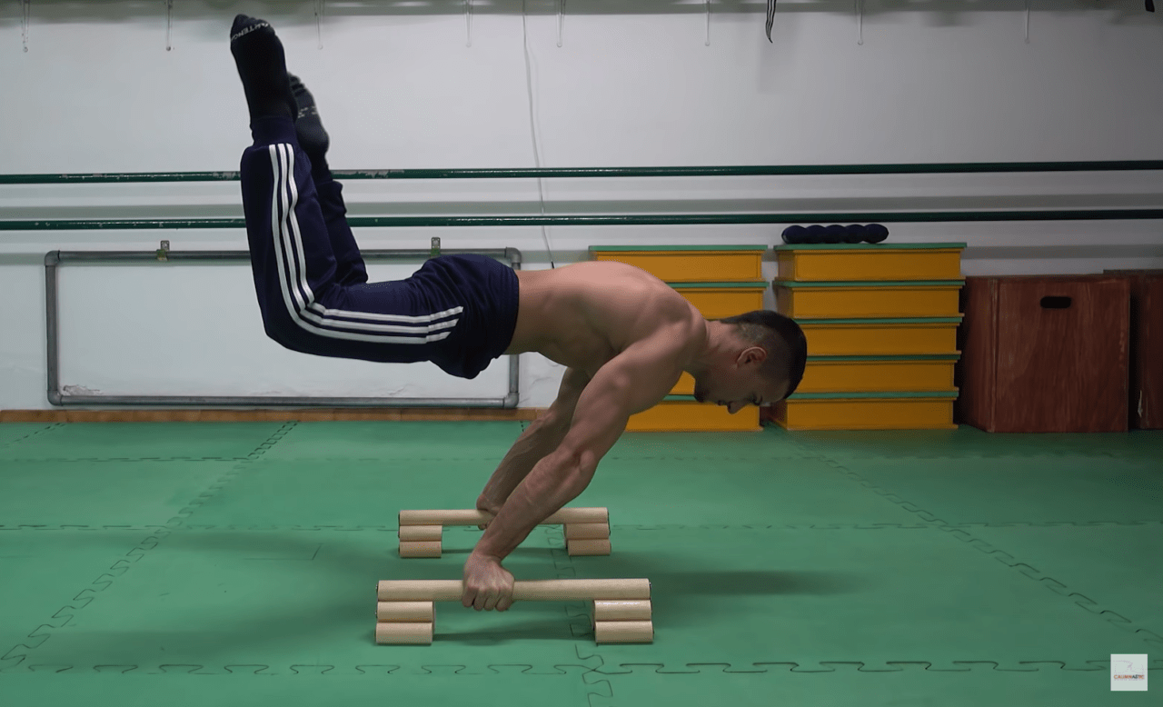 Planche Progressions - Bodyweight Training Arena