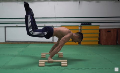 Planche Progressions - Bodyweight Training Arena
