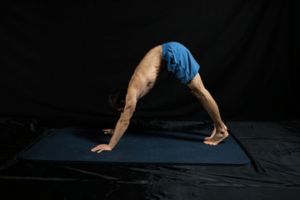 One Arm Push Up Progression - Bodyweight Training Arena