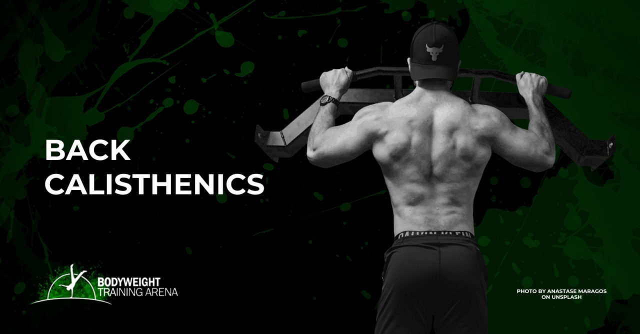 Back Calisthenics - Bodyweight Training Arena